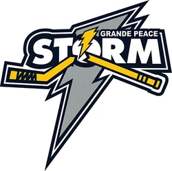 Grande Peace Storm | Ice Hockey Wiki | Fandom