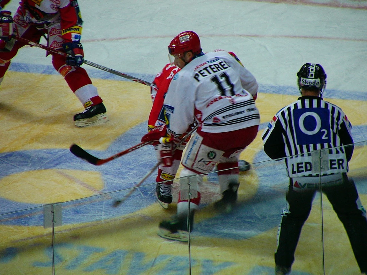 Jan Peterek | Ice Hockey Wiki | Fandom