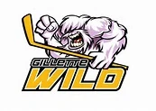 Gillette Wild | Ice Hockey Wiki | Fandom