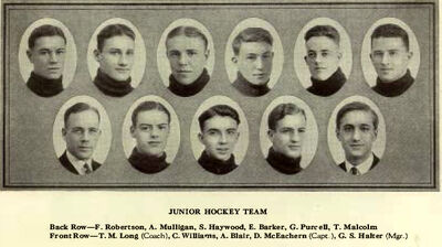 Manitoba Bisons | Ice Hockey Wiki | Fandom