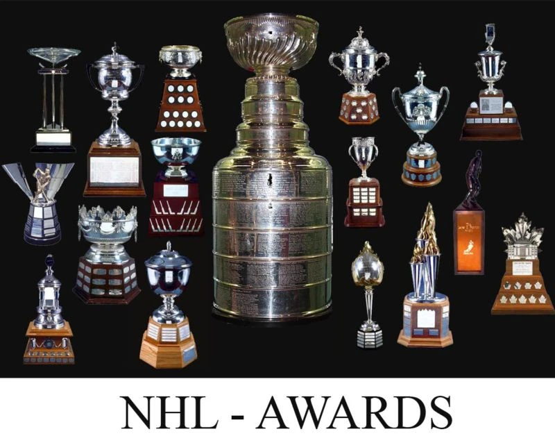 Category:NHL trophies and awards | Ice Hockey Wiki | Fandom