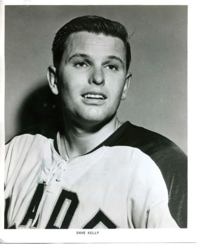 Dave Kelly | Ice Hockey Wiki | Fandom