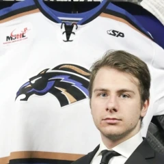 Michael Sande | Ice Hockey Wiki | Fandom