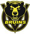 Odessa/Vibank Bruins | Ice Hockey Wiki | Fandom