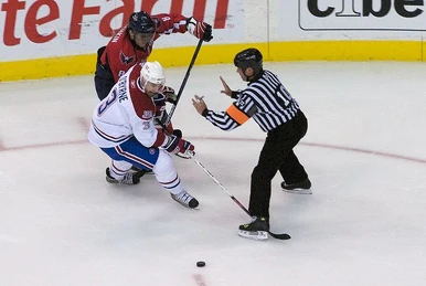 john mccauley referee