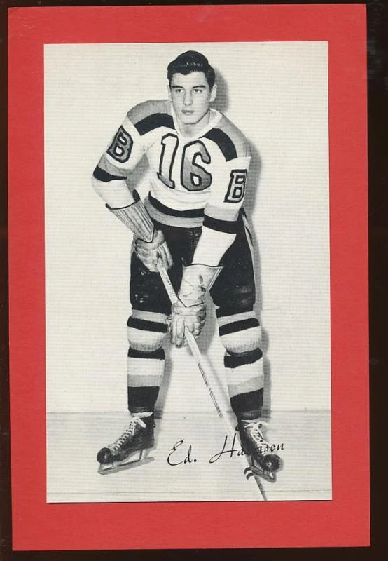 Ed Harrison | Ice Hockey Wiki | Fandom