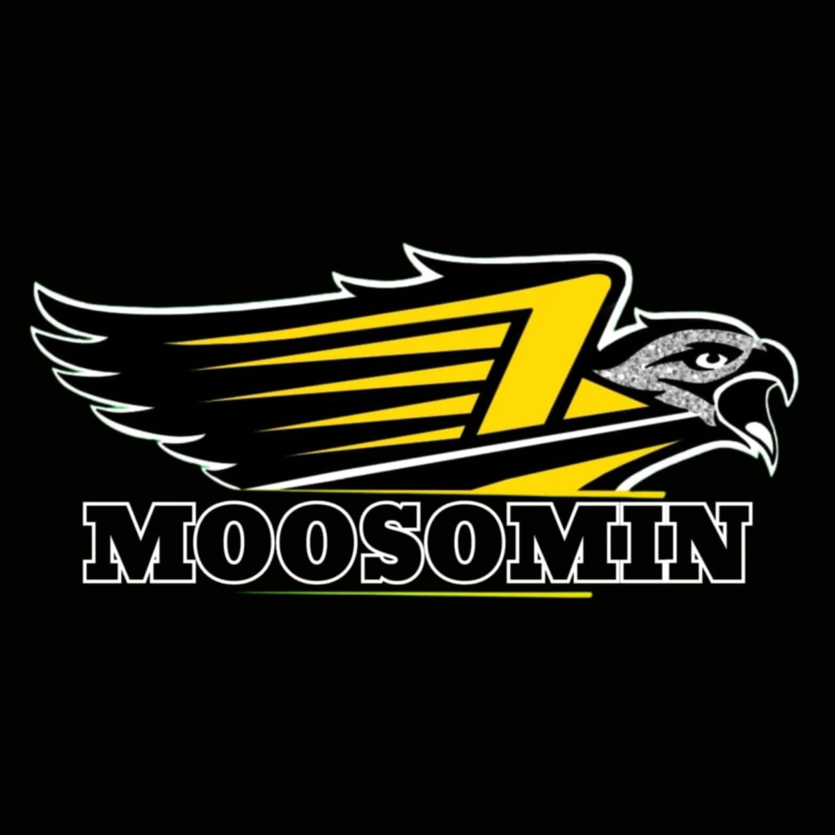 Moosomin Steelhawks | Ice Hockey Wiki | Fandom
