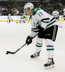 Rich Peverley | Ice Hockey Wiki | Fandom