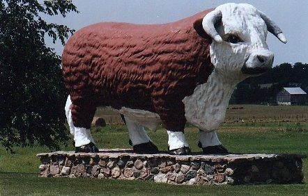 Chesley | Ice Hockey Wiki | Fandom