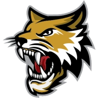 Vermilion County Bobcats | Ice Hockey Wiki | Fandom