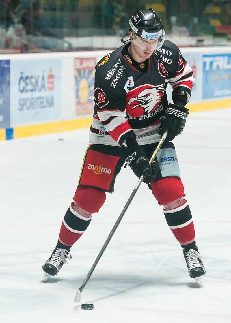 Roman Tomas | Ice Hockey Wiki | Fandom