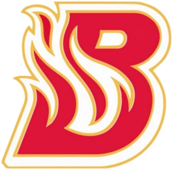 Hanover Barons | Ice Hockey Wiki | Fandom