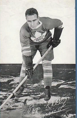Regis Kelly | Ice Hockey Wiki | Fandom