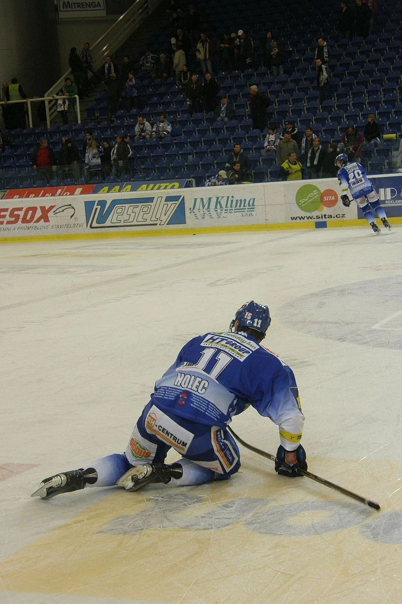 Miroslav Holec | Ice Hockey Wiki | Fandom