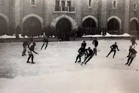 Smith Rink | Ice Hockey Wiki | Fandom