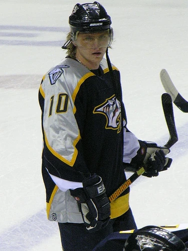 Martin Erat | Ice Hockey Wiki | Fandom