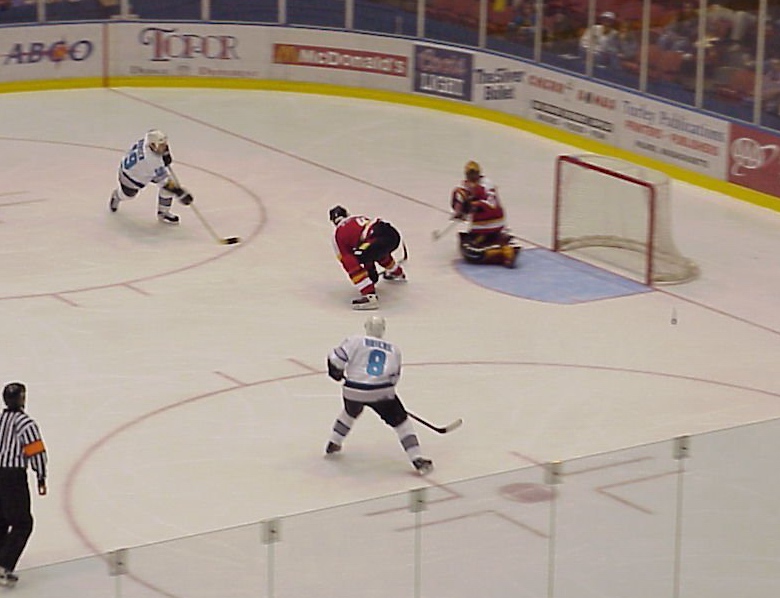 Springfield Falcons | Ice Hockey Wiki | Fandom