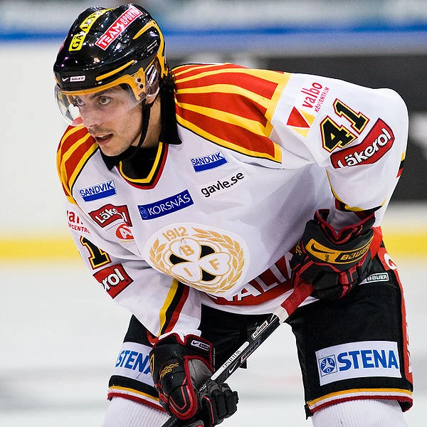 Daniel Widing | Ice Hockey Wiki | Fandom