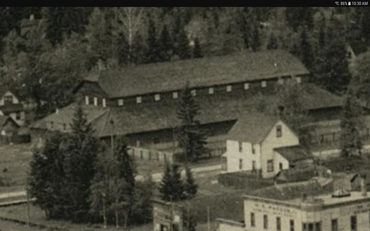 Golden Skating Rink | Ice Hockey Wiki | Fandom