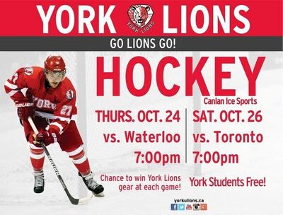 York Lions | Ice Hockey Wiki | Fandom