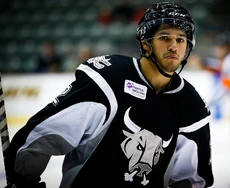 Jared Gomes | Ice Hockey Wiki | Fandom