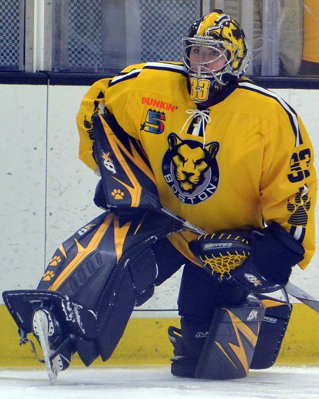 Victoria Hanson | Ice Hockey Wiki | Fandom