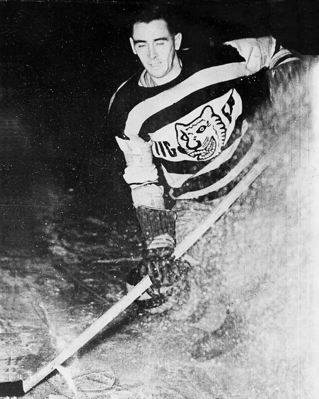 Bill Hutton | Ice Hockey Wiki | Fandom