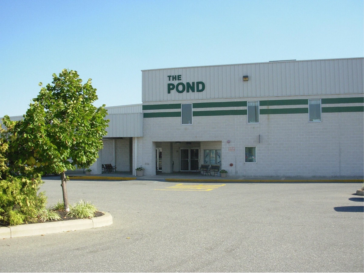 Pond Ice Arena | Ice Hockey Wiki | Fandom