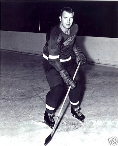 Dave Amadio | Ice Hockey Wiki | Fandom