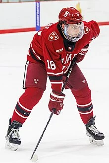 Alex Laferriere | Ice Hockey Wiki | Fandom