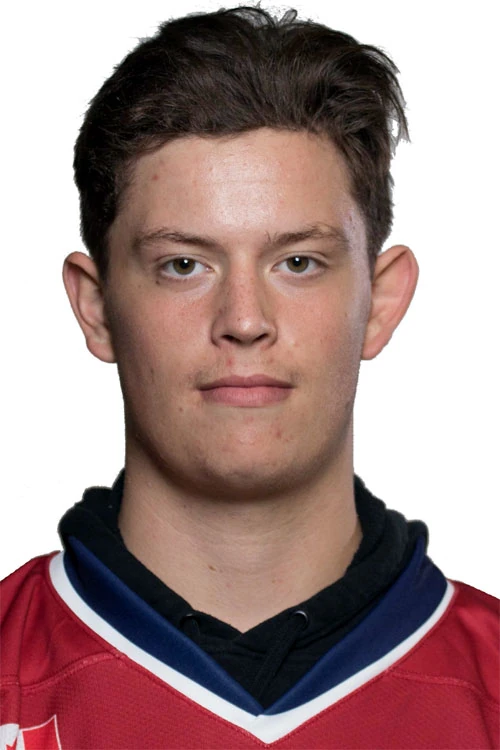 Robert Brisson | Ice Hockey Wiki | Fandom