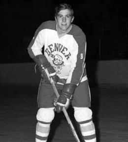 Rob Palmer (b. 1952) | Ice Hockey Wiki | Fandom