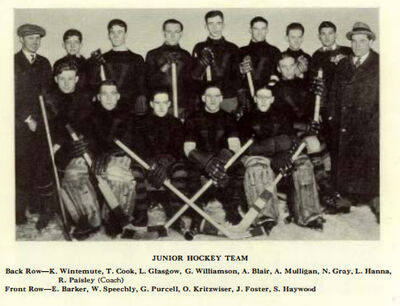 Manitoba Bisons | Ice Hockey Wiki | Fandom