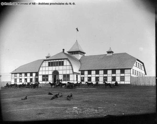 Crystal Skating Rink | Ice Hockey Wiki | Fandom