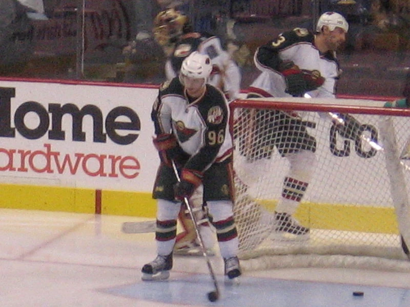 List of Minnesota Wild players | Ice Hockey Wiki | Fandom