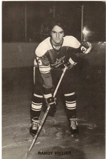 Randy Hillier | Ice Hockey Wiki | Fandom