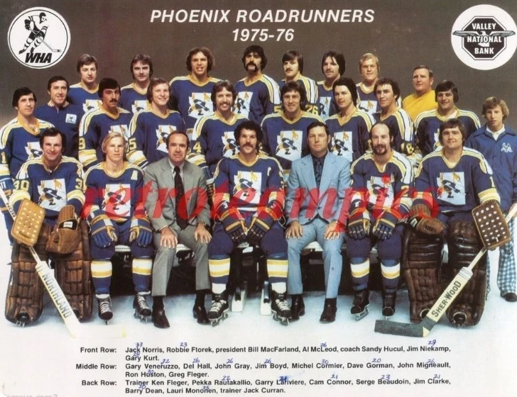Category:Phoenix Roadrunners seasons | Ice Hockey Wiki | Fandom