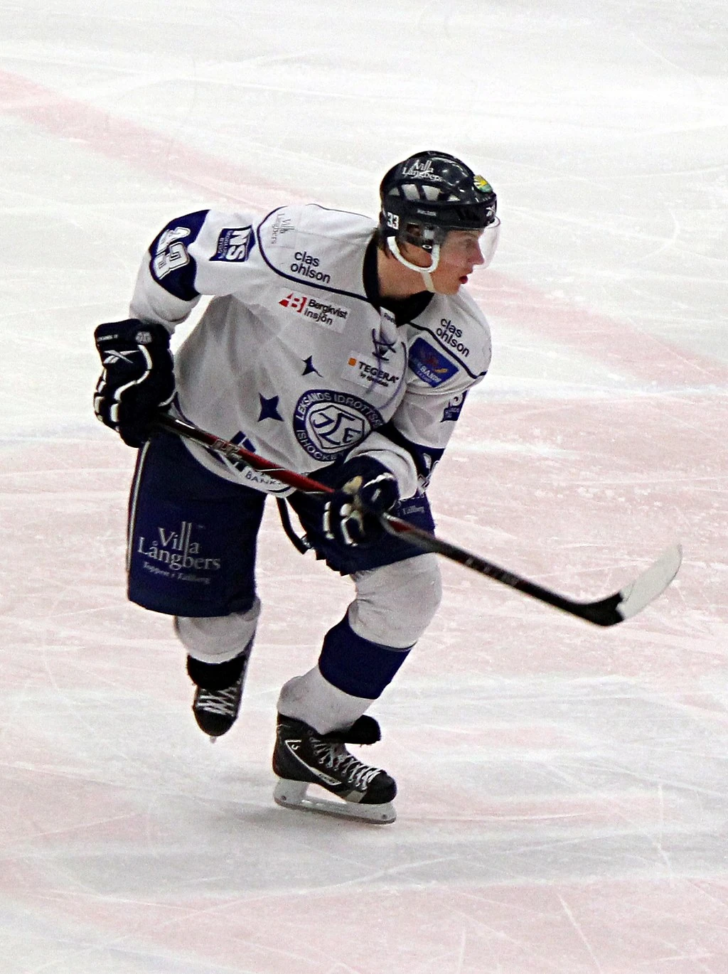 David Åslin | Ice Hockey Wiki | Fandom