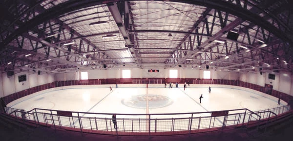 Lewis Arena | Ice Hockey Wiki | Fandom