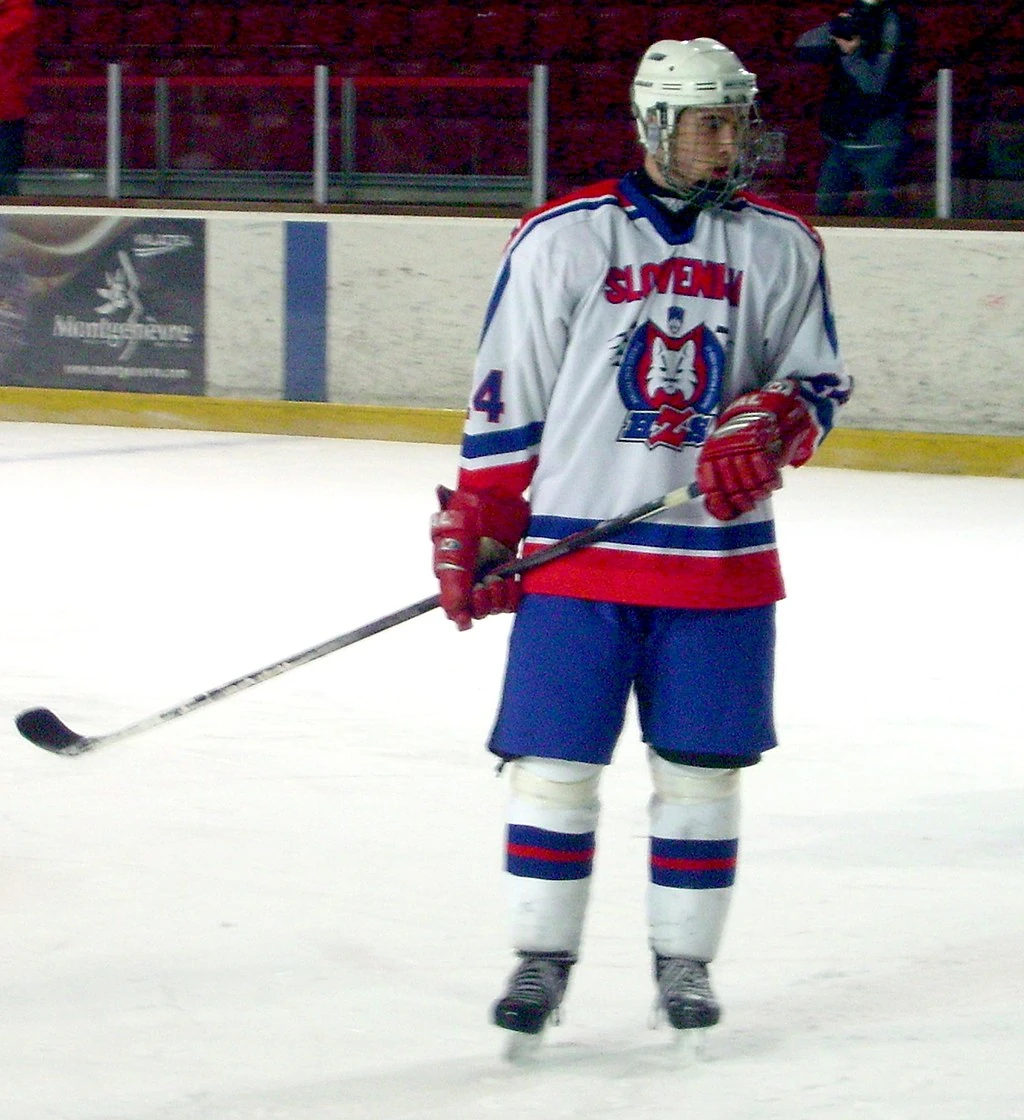 Aleksandar Magovac | Ice Hockey Wiki | Fandom