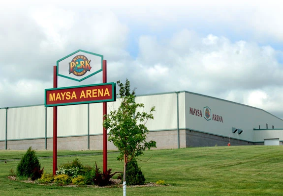 Maysa Arena | Ice Hockey Wiki | Fandom