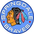 Springdale Braves | Ice Hockey Wiki | Fandom