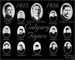 Calgary Tigers | Ice Hockey Wiki | Fandom