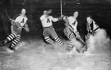 Brooklyn Ice Palace | Ice Hockey Wiki | Fandom