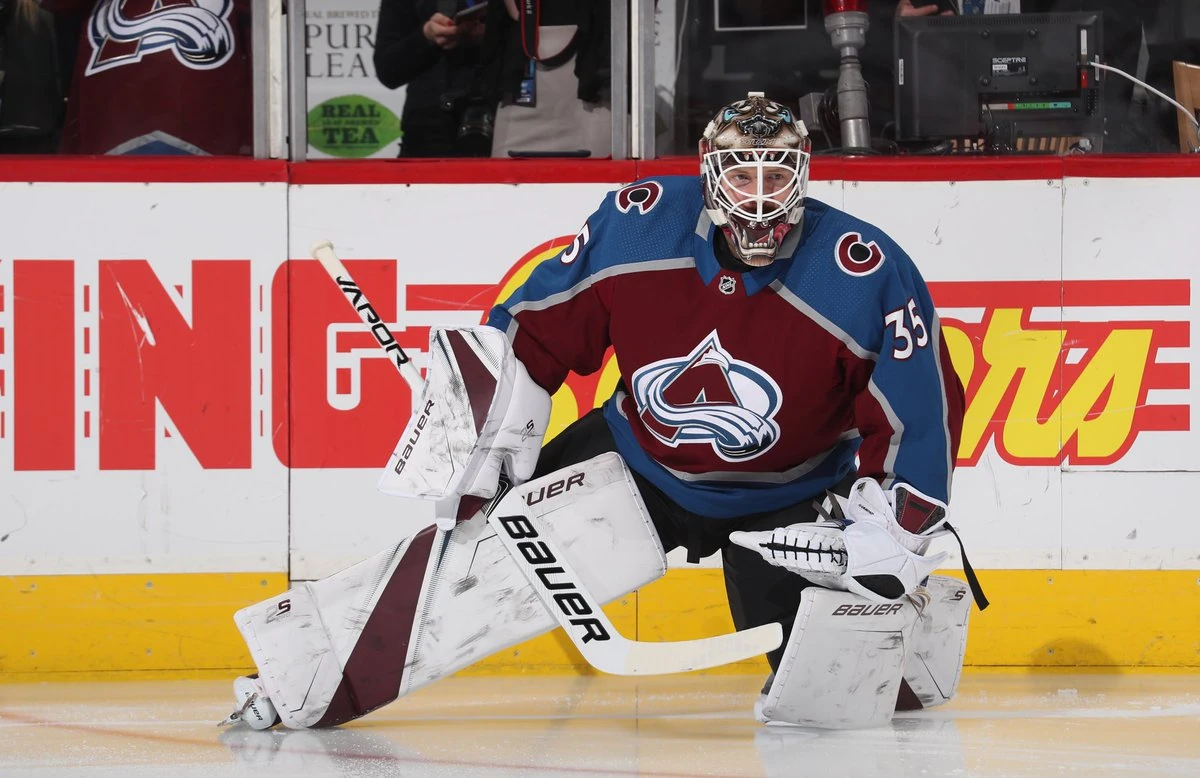 Andrew Hammond | Ice Hockey Wiki | Fandom