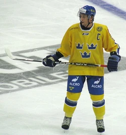 Magnus Johansson | Ice Hockey Wiki | Fandom