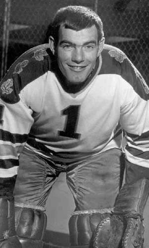 Phil Headley | Ice Hockey Wiki | Fandom