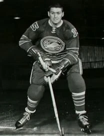 Brian Perry | Ice Hockey Wiki | Fandom