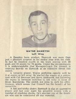 Wayne Hawrysh | Ice Hockey Wiki | Fandom