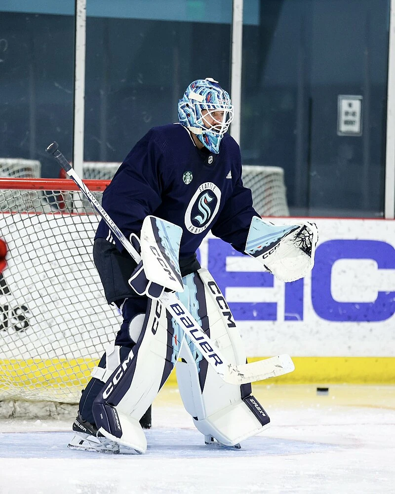 Aleš Stezka | Ice Hockey Wiki | Fandom